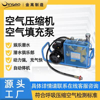 JGX100/ET高压潜水空气自动压缩机正压式呼吸器螺杆空压机