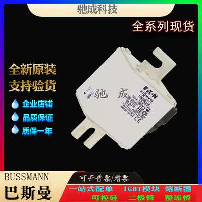 巴斯曼170M6245 170M6246 170M6247 厂家直供销售  特种保险丝