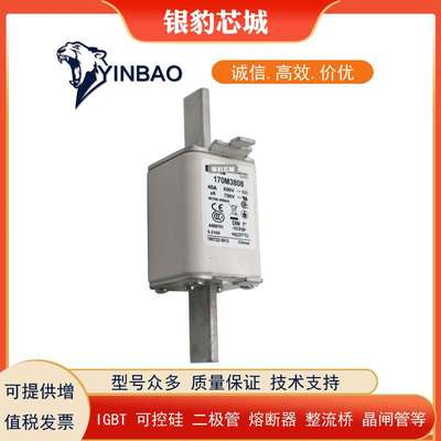 170M2673/170M2674/170M2675/170M2676/170M2677巴斯曼熔断器