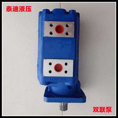 GPP1-AOC40AHN50A1R-113-991-0双联齿轮泵 船用液压泵