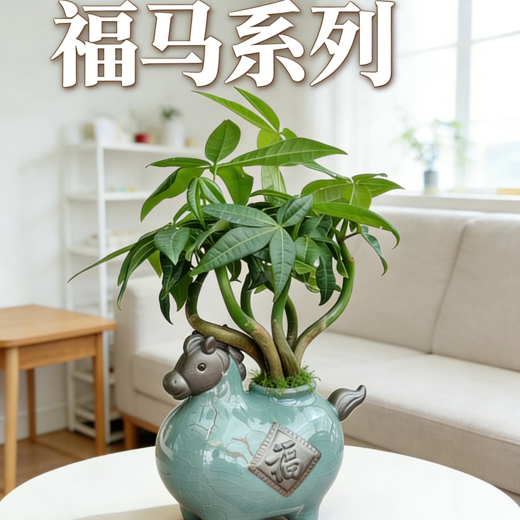 【发财树水培小马盆栽】来福小马系列小盆栽组合盆景好养桌面绿植
