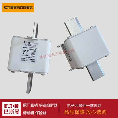 熔断器170M6203 170M6206 170M6207 170M6229 170M6256 170M6277