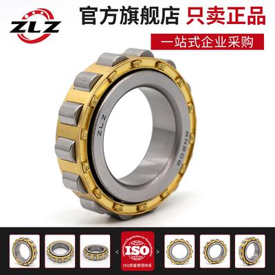 哈尔滨ZLZ圆柱滚子轴承 RN 312 219 222 228 328
