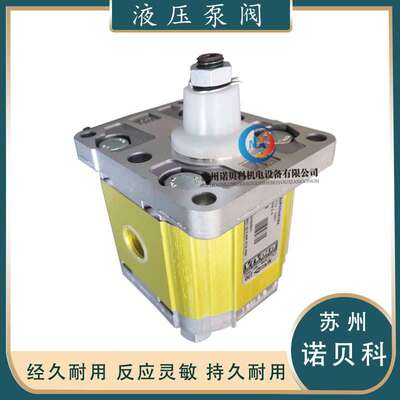 VIVOLO维沃尔意大利齿轮泵X2P4701EBBA X2P4702ECBA液压泵VIVOIL
