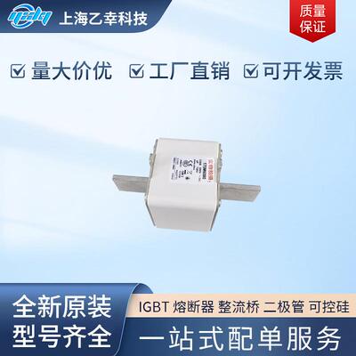 巴斯曼熔断器 170M6112 170M6113 170M6114 170M6115 170M6116