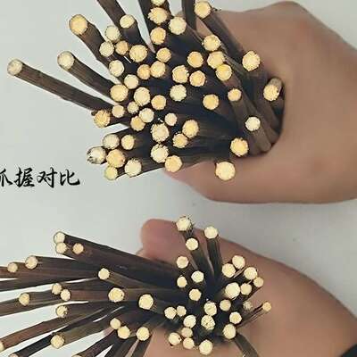 易经文化用品真品文王蓍草50支送5支筹策算筹算工具术数