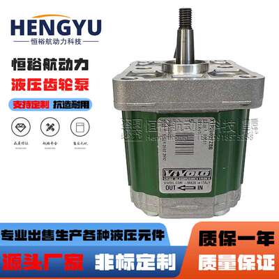 液压泵VIVOLO齿轮泵X1P2002FZBB XV1P-D XV2P-D XV3P维沃尔油泵总