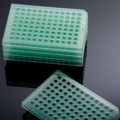 巴罗克0.2mlPCR板 96孔板 非灭菌；无裙边 透明/白色