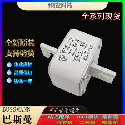 巴斯曼170M6014 170M6015 170M6016 销售供应零售  方体熔断器