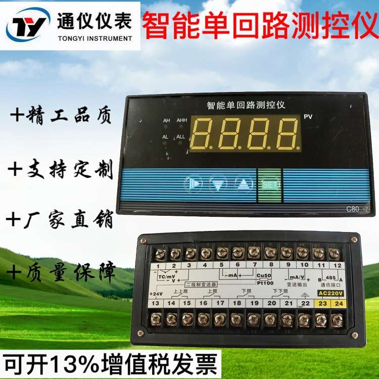 通仪TY-C803温度压力液位单回路控制仪继电器485变送输出电子