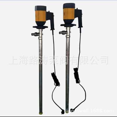 供应HD-E2+V+SS316L-1500HP化工插桶泵耐酸碱电动油抽电动抽液泵