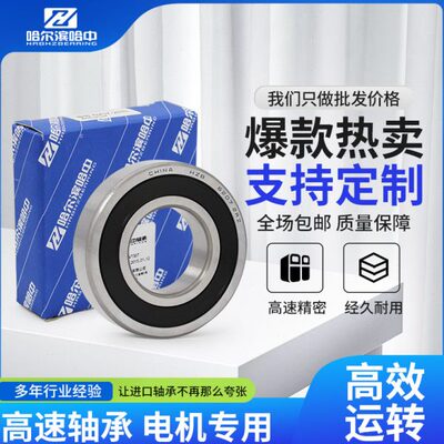 哈尔滨轴承大全高速6015 6016 6017 6018 6019 6020 6021 2RS ZZ