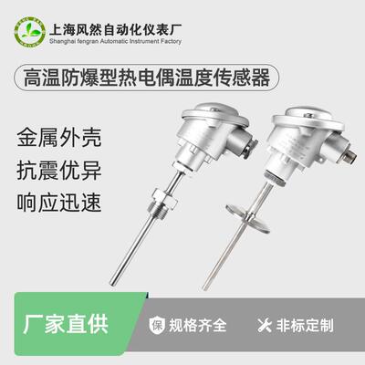 K型铠装热电偶 防腐热电偶 法兰WZP-430F/230F铂铑热电偶厂家