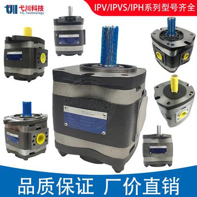 福伊特齿轮泵IPV/IPVP3/4/5/6/7/IPS6 内啮合替德国voith液压油泵
