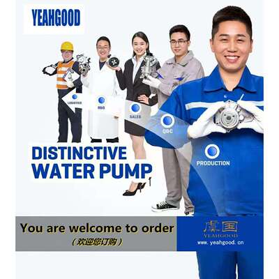 空气悬挂打气泵 48914-50030 4891450031 LS460 USF40 USF41 600h