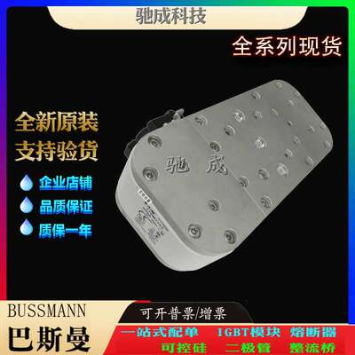 巴斯曼170M7163 170M7164 170M7165 厂价供应出厂价格 快速熔断器