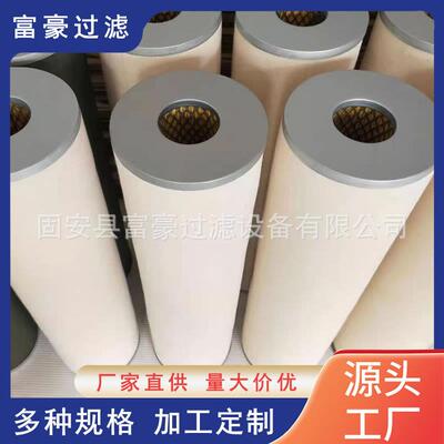 GCA5536GMS1多元混合气处理设备高纯单质气液聚结分离器滤芯