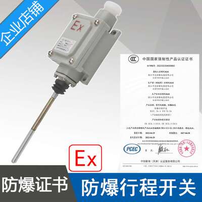BLX5N挠性式防爆行程开关ExdIIBT6铝合金电流10A电压24V220V380V