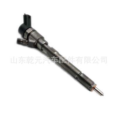 共轨喷油器 0445110764  33800-27010  MOTORS