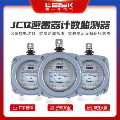 浙江雷一避雷器在线计数监测器JCQ3A-10/800型