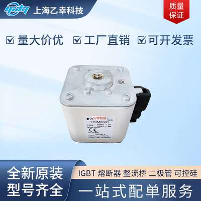 巴斯曼熔断器170M 6814D  6892D  8554D  8555D  8556D 170M8557D