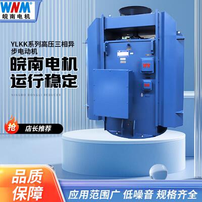 皖南电机YLKK马达中型立式高压电动机三相异步110kw132kw160kw
