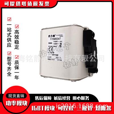熔断器170M6544 170M6545 170M6546 170M6547 170M6548 170M6549