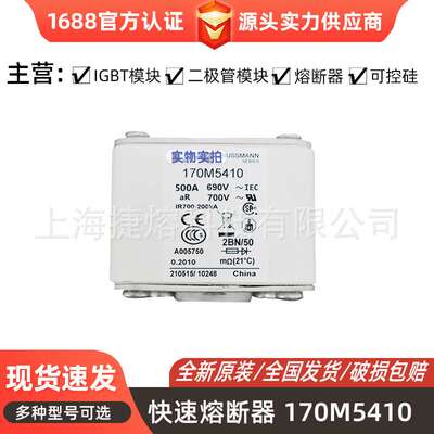 低压快速熔断器 170M5405 170M5408 170M5410 电子元器件库存充足