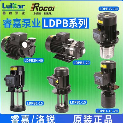 B4机床18VL40-30-冷却卧式DP睿嘉多级泵15--20V线切割水泵12-H--