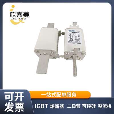 170M3810 170M3472 快速熔断器  电子元器件 型号齐全 量大价优
