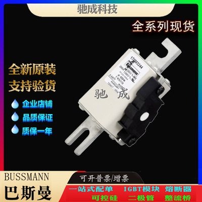 巴斯曼170M3244170M3245170M3246销售供应直销价优特种保险丝