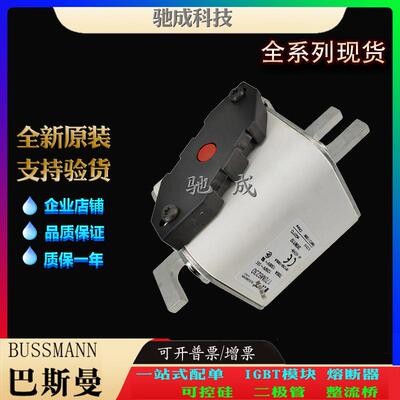 巴斯曼170M6229 170M6237 170M6238 原装进口价优 方体熔断器