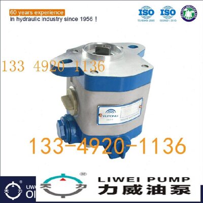 合肥力威QC18/13-151汽车油泵 151-3407100天力转向助力泵