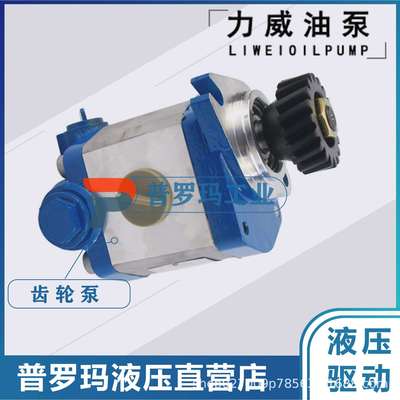 合肥力威 QC20/15-WP6J 汽车油泵 合肥天力方向动力泵转向泵