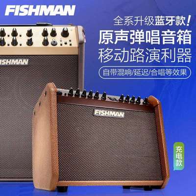 渔夫Fishman 民谣木吉他弹唱音箱 Loudbox mini 箱琴音响 拾音器