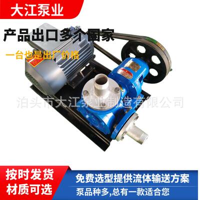 现货CNB-8/.高粘度泵5内齿轮泵转157子泵油0漆泵铸铁