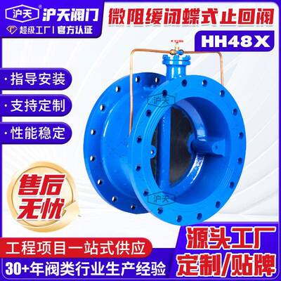 止回阀微阻缓闭蝶式止回阀缓闭式止回阀HH48XHH49XHH46X