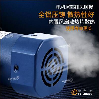 厂家现货直供90W微型交流减速电机 FEILANDE