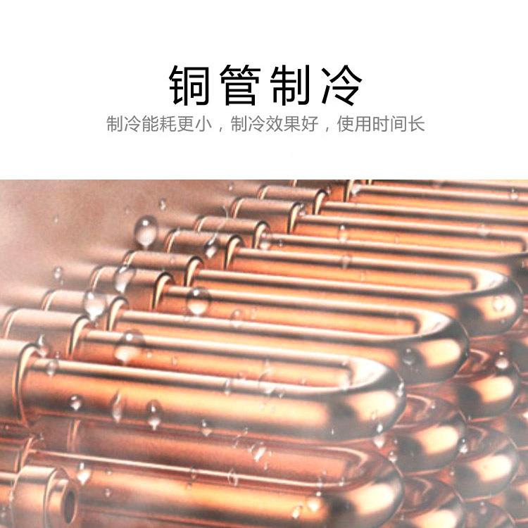 挂肉EAQ柜商展用保立鲜柜鲜肉冷冻柜熟成柜冷藏式冷肉排酸鲜示柜