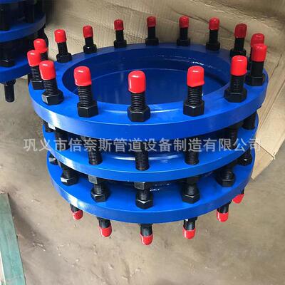 水厂用不锈钢全丝半丝S可兰拆卸V437SFJAF(C2)型双法松套传力接头