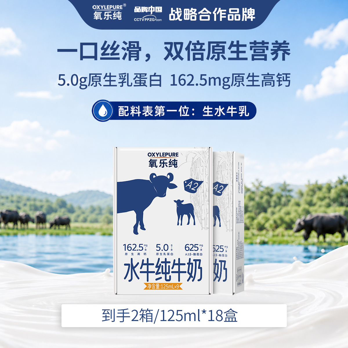 氧乐纯A2酪蛋白广西水牛纯牛奶125ml*18盒学生儿童高钙营养早餐奶