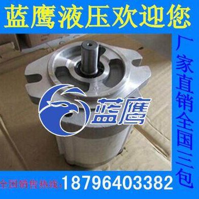 RGP-F306R/F308R/F310R/R312R/314R/F316R/F320R/F325R齿轮油泵RN