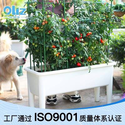 欧泽阳林台种菜盆高种SC09白菜盆园艺塑料花大脚号庭院长方形种植