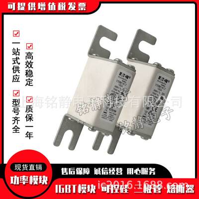 170M1418 170M1419 170M1420 170M1421巴斯曼170M1422熔断器现货