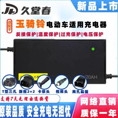 玉骑铃麒麟电动车充电器60V20AH72V30AH80V84V40AH96V50AH两孔2+2