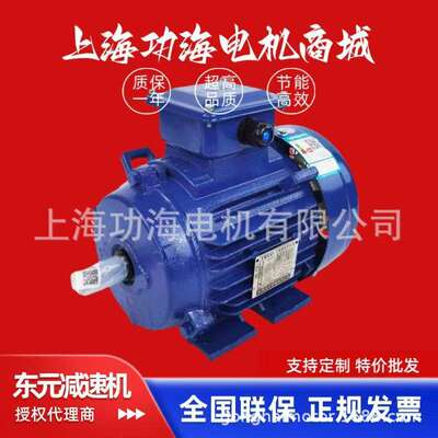 TECO东元电机 东元马达 TEV3系列 GB3/IE3能效 AEEV3N040040YWE--