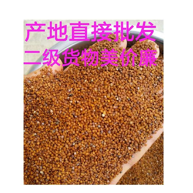 产地厂家电商专用1斤浆35-40斤冰粉冰粉籽石花籽凉粉籽50kg/件