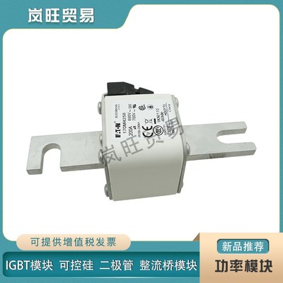 保险丝熔断器170M4247 4258 4259 4260 4261 4262 4263 4264原装