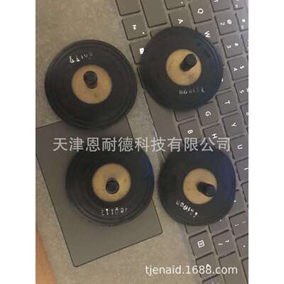 帕斯菲达液压隔膜计量泵25HJ隔膜片 NP170001-THY