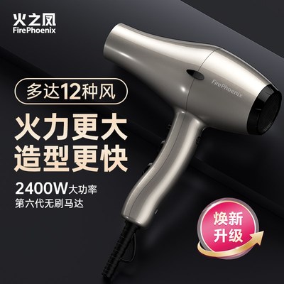 火之凤吹风机6600X理发店专用发廊发型K师大功率男士速干电吹风筒